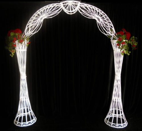 Ficus Tree – EventRent